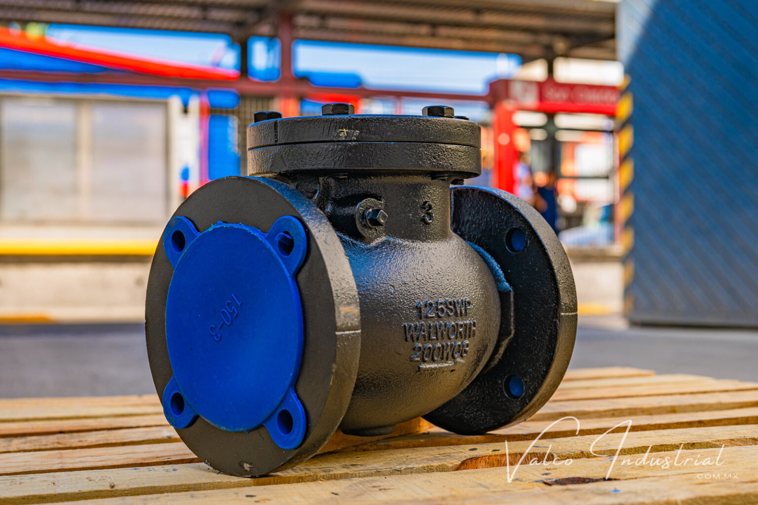 Válvula Check Columpio Hierro/Bronce Walworth 928RF Bridada para 125# 3″ – Mostrador VALCO ...