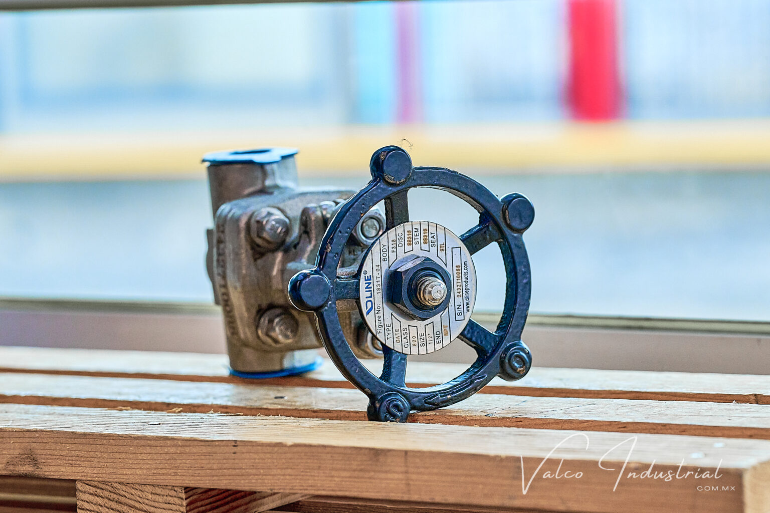 1831T-04 Válvula Compuerta Forjada en Acero Inoxidable Roscada Clase 800 de 1/2″ – Mostrador ...