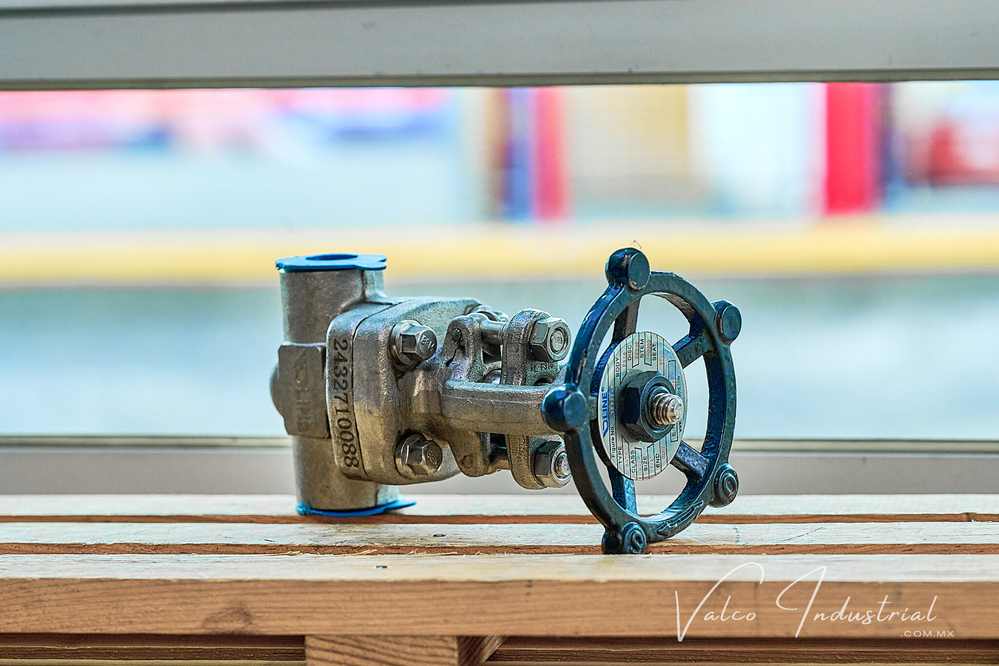 1831T-04 Válvula Compuerta Forjada en Acero Inoxidable Roscada Clase 800 de 1/2″ – Mostrador ...