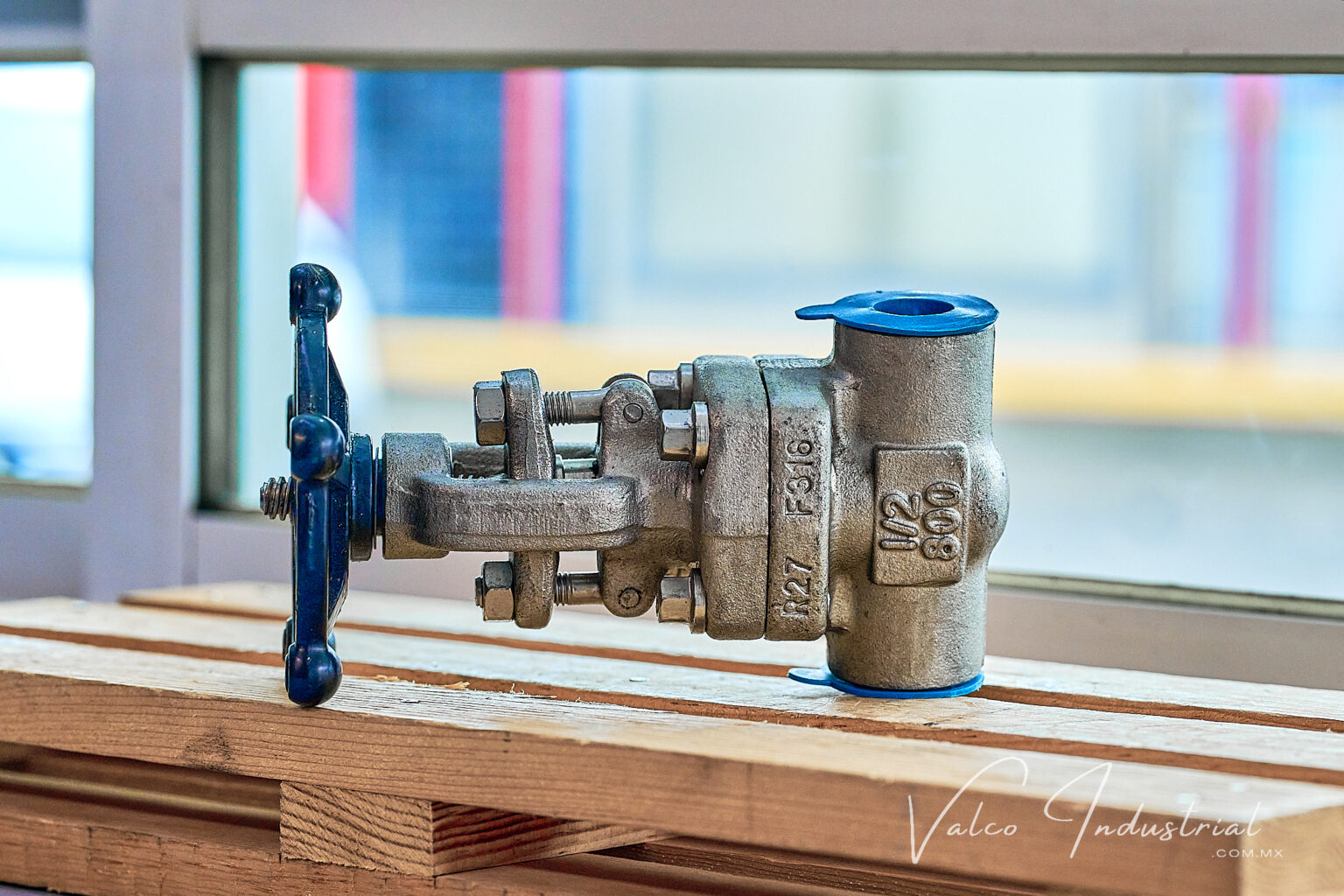 1831T-04 Válvula Compuerta Forjada en Acero Inoxidable Roscada Clase 800 de 1/2″ – Mostrador ...