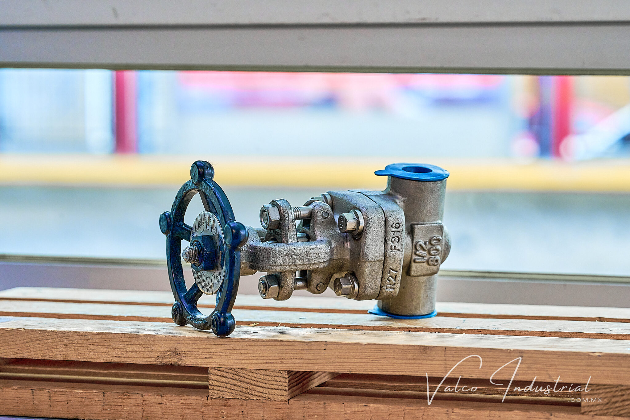 1831T-04 Válvula Compuerta Forjada en Acero Inoxidable Roscada Clase 800 de 1/2″ – Mostrador ...