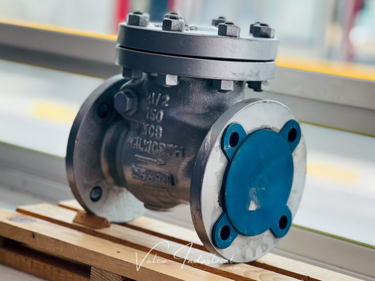 Válvula Check Columpio de Acero Fundido Walworth 5341RF Clase 150 de 2-1/2″ 64MM – Mostrador ...