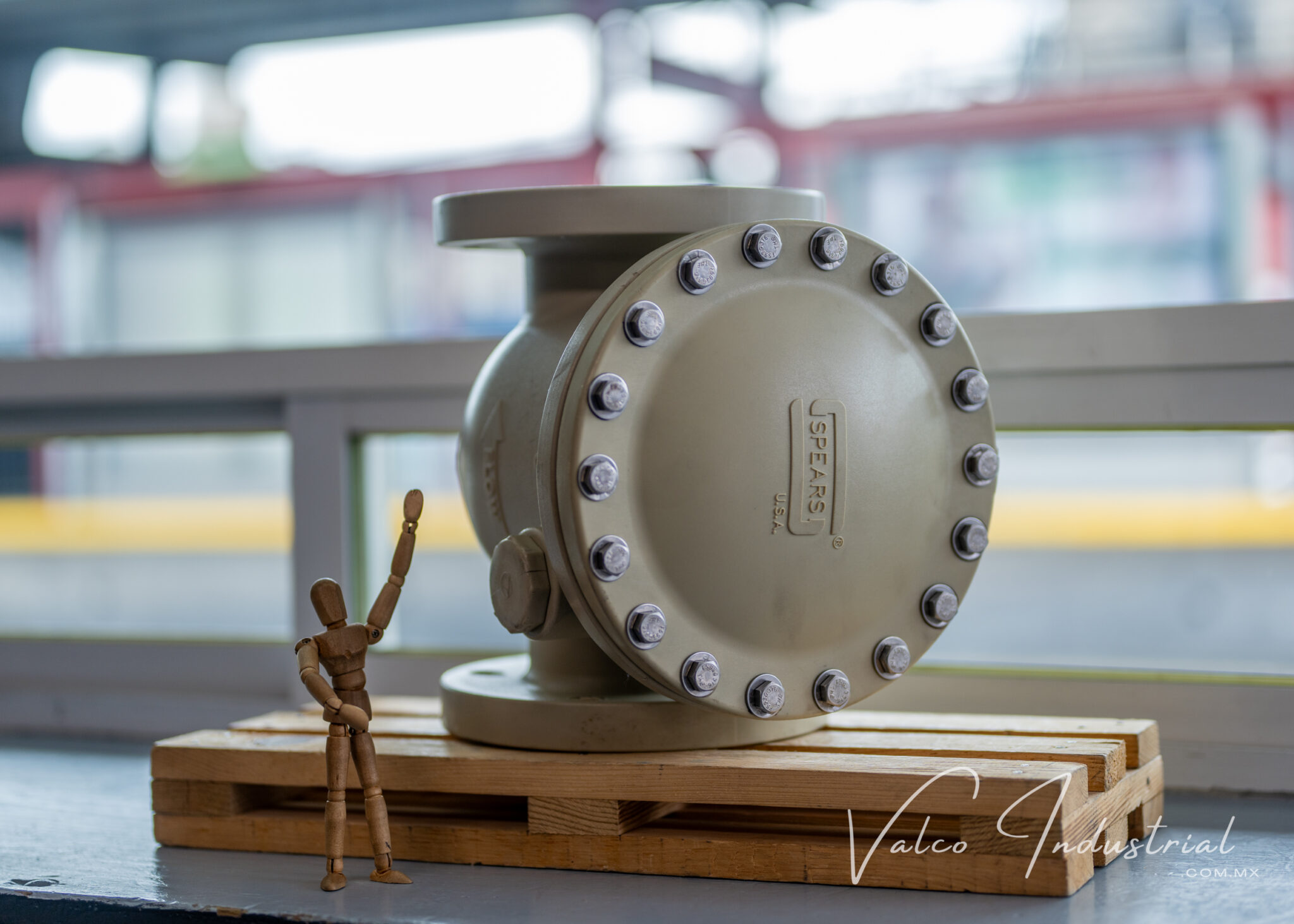 4423-030P Swing Check Bridado EPDM Polipropileno Bridado en 3″ de ...