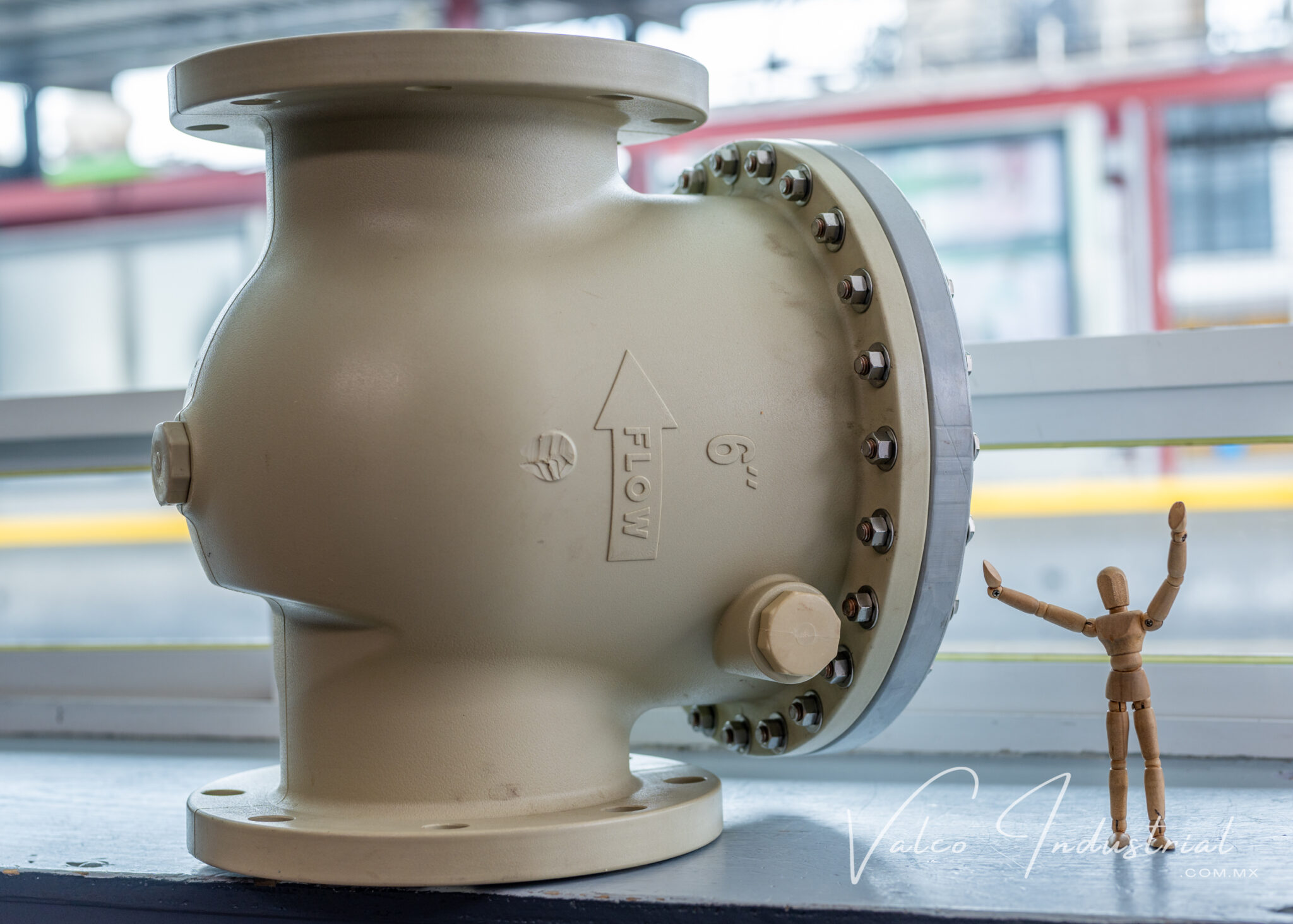 4423-060P Swing Check Bridado EPDM Polipropileno Bridado en 6″ de ...