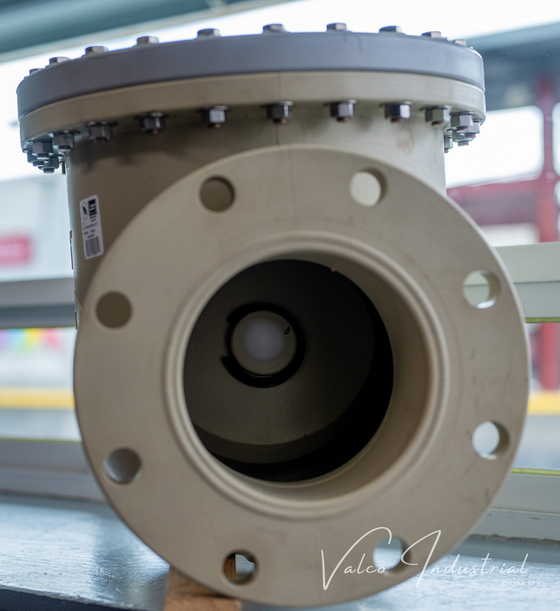 4423-060P Swing Check Bridado EPDM Polipropileno Bridado en 6″ de ...