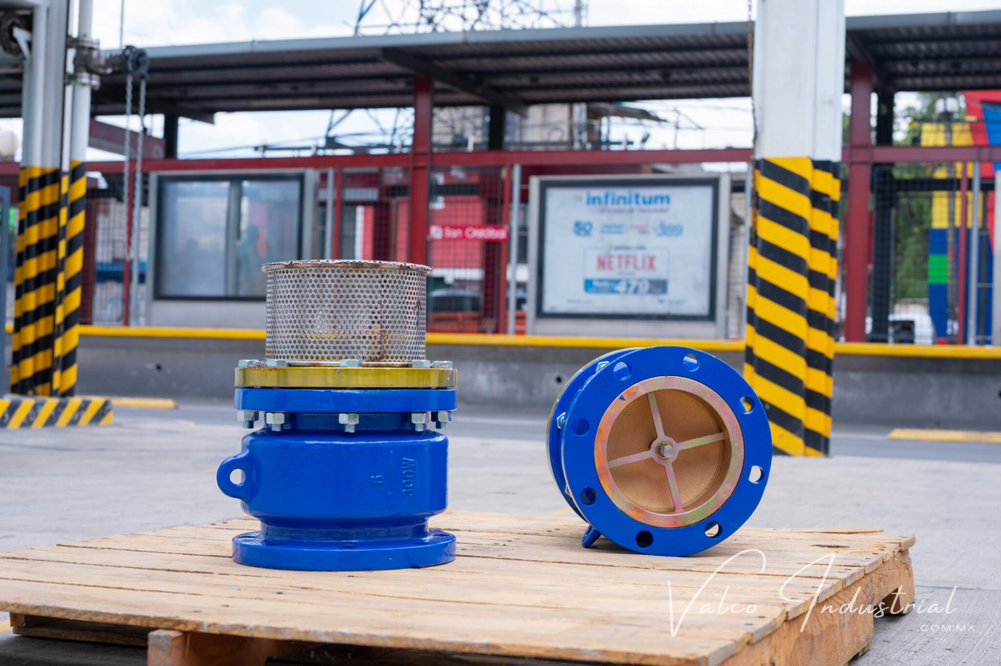 509-060 Válvula Pichancha (Foot Valve) de 6″. Bridada para una presión ...