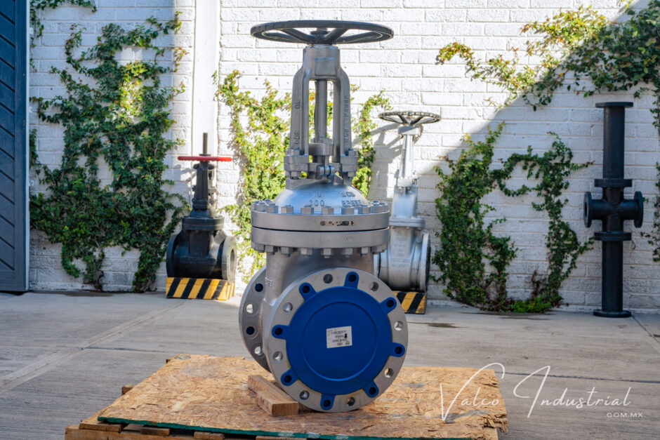 5206RF-100 Válvula Compuerta Acero Fundido Walworth 5206RF Clase 300 de ...