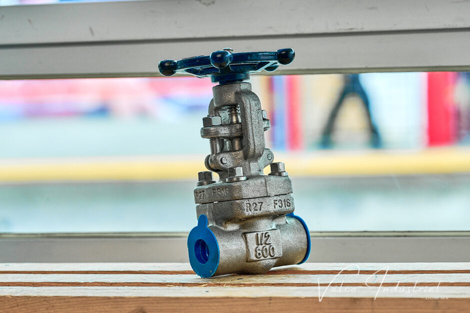 1831T-04 Válvula Compuerta Forjada en Acero Inoxidable Roscada Clase 800 de 1/2″ – Mostrador ...