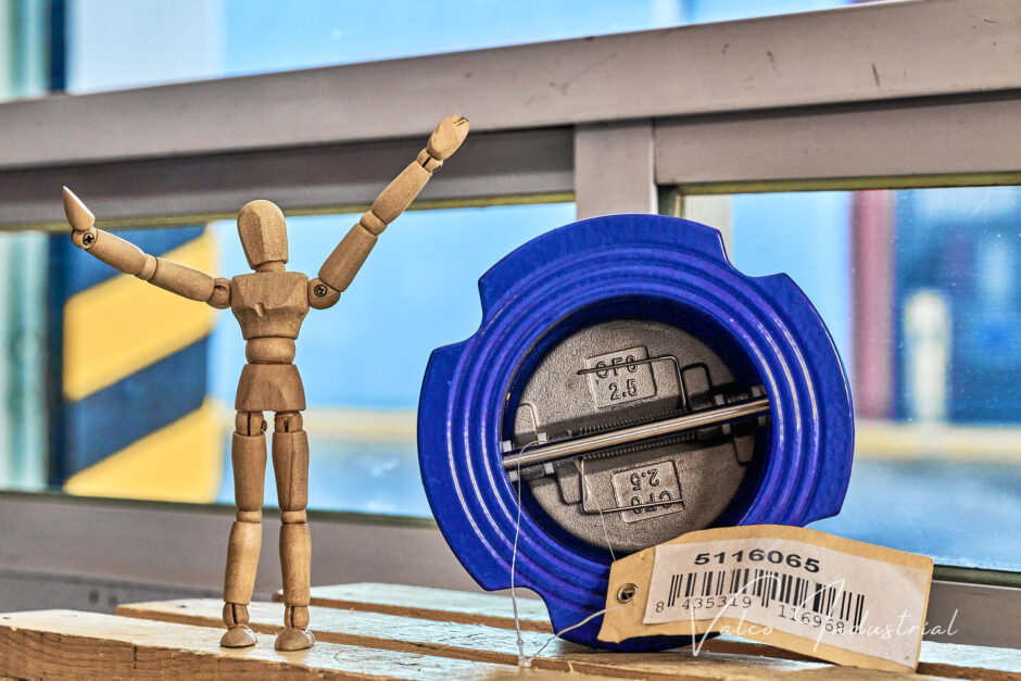 5116065 Válvula Duo Check de 125-150# Hierro/Inoxidable de 2-1/2″ 64MM ...