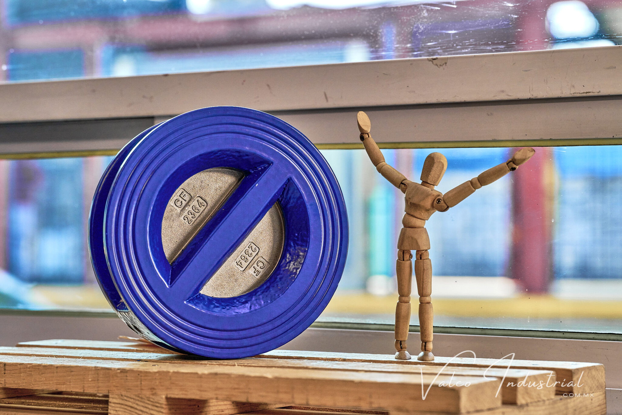 5116100 Válvula Duo Check de 125-150# Hierro/Inoxidable de 4″ 102MM ...