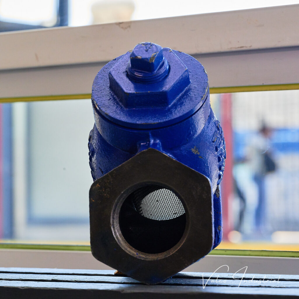 ST12-DI-08 Filtro Yee en Hierro Dúctil Clase 300 Roscado NPT de 1-1/2 ...